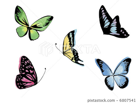 Colorful hand-painted butterfly set - Stock Illustration [6807541] - PIXTA
