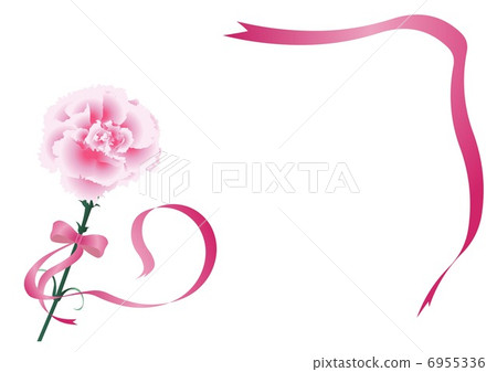 Carnation 7 - Stock Illustration [6955336] - PIXTA