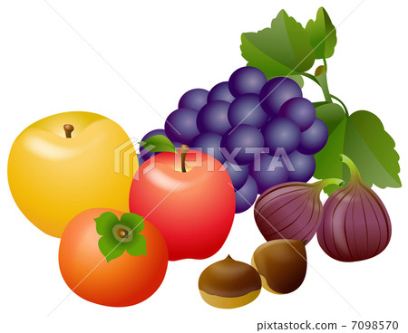 Autumn fruit collection - Stock Illustration [7098570] - PIXTA
