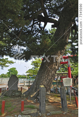 Sakata in early summer · Nichiren sect... - Stock Photo [7345690] - PIXTA