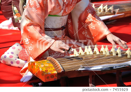 Koto performance - Stock Photo [7455929] - PIXTA