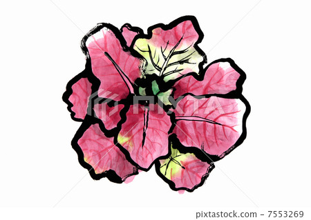 Taka - Stock Illustration [7553269] - PIXTA