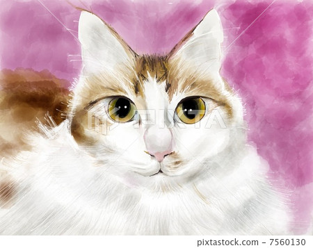 Cat Illustration - Stock Illustration [7560130] - PIXTA