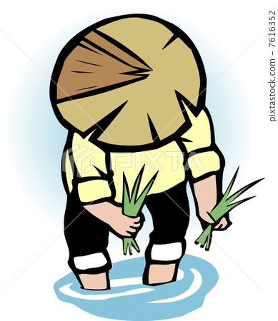 Rice planting - Stock Illustration [7616352] - PIXTA
