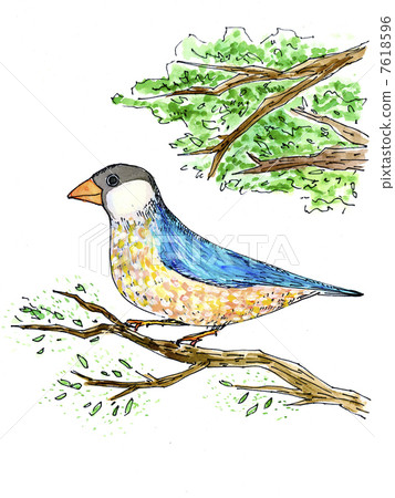 Kotri - Stock Illustration [7618596] - PIXTA