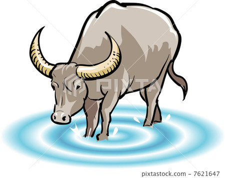 water buffalo - Stock Illustration [7621647] - PIXTA