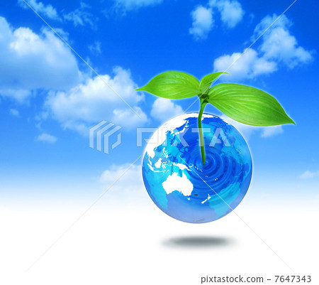 Wakaba growing on the earth - Stock Illustration [7647343] - PIXTA