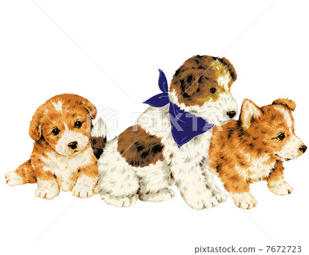 Cute cogie and terrier - Stock Illustration [7672723] - PIXTA