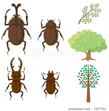 Insects and trees - Stock Illustration [7877701] - PIXTA
