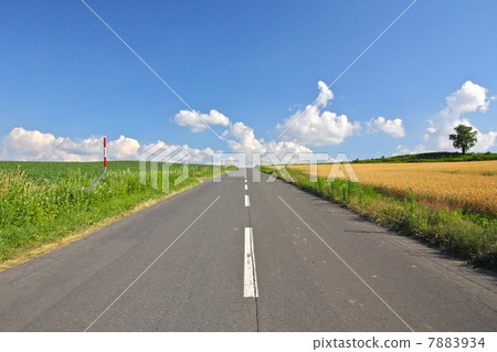 one road - Stock Photo [7883934] - PIXTA