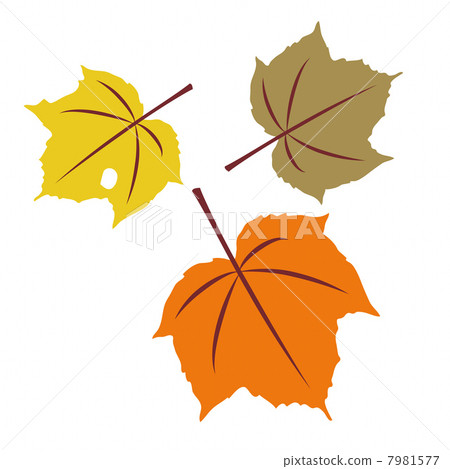 Dead leaf autumn leaves - Stock Illustration [7981577] - PIXTA