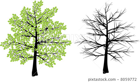 Spring and winter tree - Stock Illustration [8059772] - PIXTA