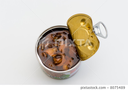 ark shell - Stock Photo [8075489] - PIXTA