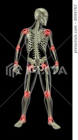 Medical skeleton - Stock Illustration [8099767] - PIXTA
