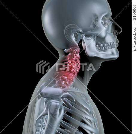Skeleton showing neck bones - Stock Illustration [8100005] - PIXTA