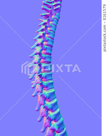 backbone - Stock Illustration [8161579] - PIXTA