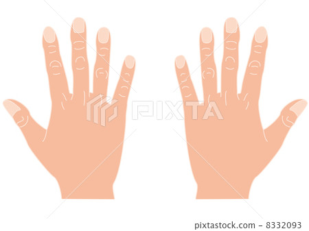 The backs of both hands - Stock Illustration [8332093] - PIXTA