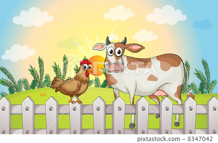 A cow and a rooster - Stock Illustration [8347042] - PIXTA