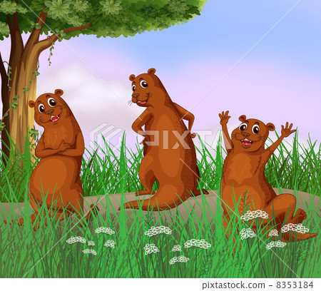 Three wild animals at the road - Stock Illustration [8353184] - PIXTA