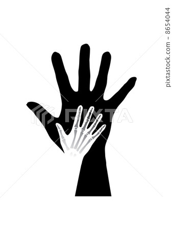 Stylized hands anatomy - Stock Illustration [8654044] - PIXTA