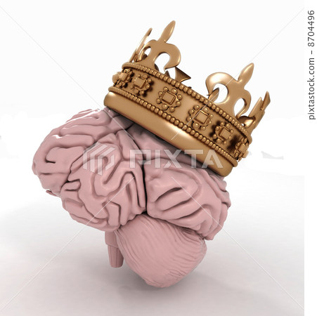 brain with crown - Stock Illustration [8704496] - PIXTA