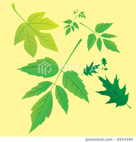 orange, pattern, plant - Stock Illustration [8954394] - PIXTA