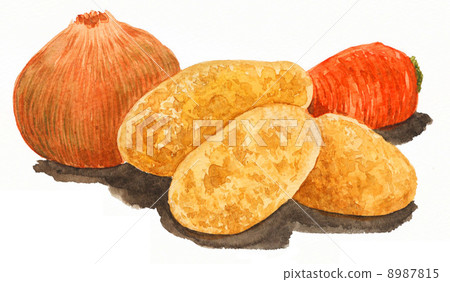 vegetables, vegetable, may queen potatoes - Stock Illustration [8987815 ...
