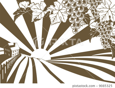 Sunrise Grape Vine Vineyard Graphic - Stock Illustration [9085325] - PIXTA