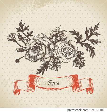 Rose. Hand drawn vintage design - Stock Illustration [9098401] - PIXTA