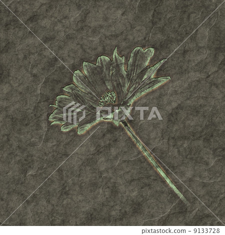 petrified flower - Stock Illustration [9133728] - PIXTA