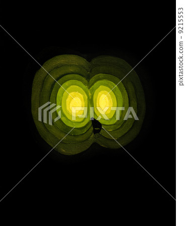 yellow light of night beast eyes - Stock Illustration [9215553] - PIXTA