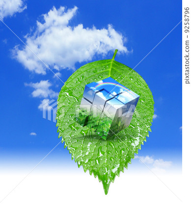 Environment cube on leaves - Stock Illustration [9258796] - PIXTA