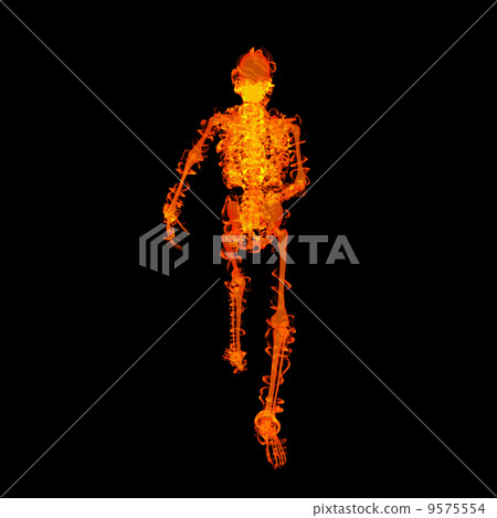 walking fire skeleton by X-rays in red - back view - Stock Illustration ...