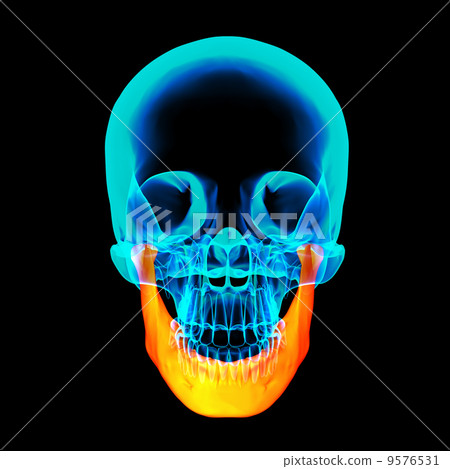 3d rendered illustration - jaw bone - front view - Stock Illustration ...