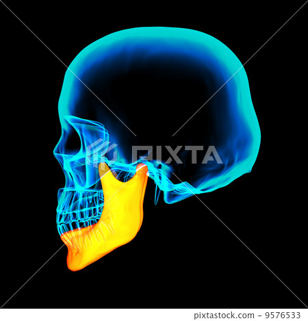 3d rendered illustration - jaw bone - side view - Stock Illustration ...