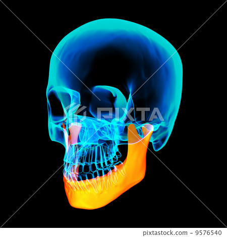 3d rendered illustration - jaw bone - side view - Stock Illustration ...
