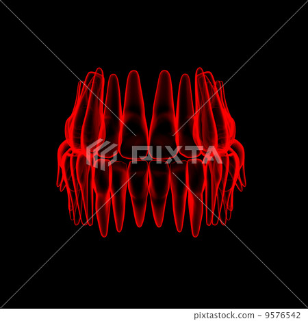 3d human red teeth - front view - Stock Illustration [9576542] - PIXTA