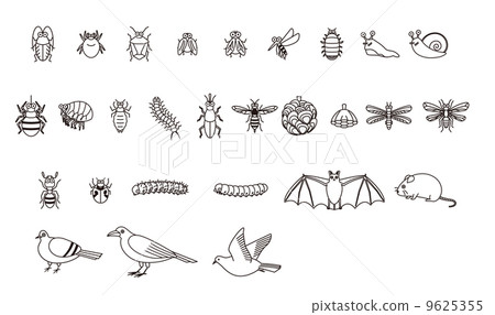 一整套害蟲，害蟲，害蟲-插圖素材 [9625355] - PIXTA圖庫