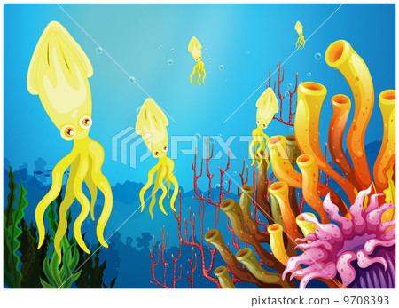 Yellow squids near the coral reefs - Stock Illustration [9708393] - PIXTA