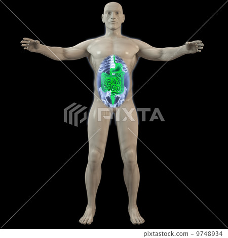 guts-插圖素材 [9748934] - PIXTA圖庫