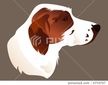 hunting dog head profile - Stock Illustration [9759787] - PIXTA