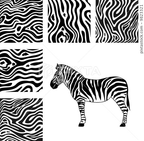 Vector illustration of zebra pattern - Stock Illustration [9823321] - PIXTA