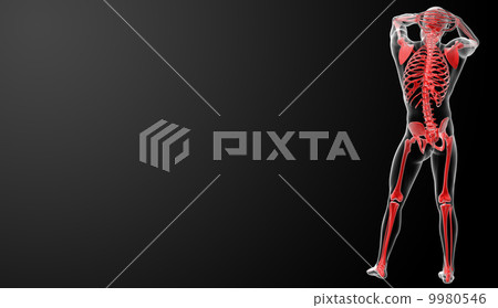 3d rendered red skeleton - Stock Illustration [9980546] - PIXTA