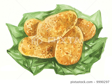 potato, potatoe, may queen - Stock Illustration [9990297] - PIXTA