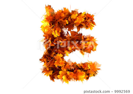 Fall alphabet letter E - Stock Illustration [9992569] - PIXTA