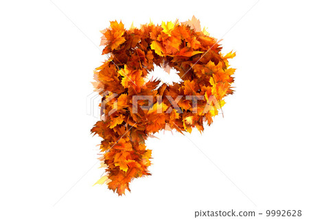 Fall alphabet letter P - Stock Illustration [9992628] - PIXTA
