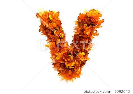 Fall alphabet letter V - Stock Illustration [9992643] - PIXTA
