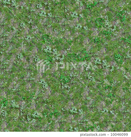 Spring Meadows Surface. Seamless Tileable Texture. - Stock Illustration ...