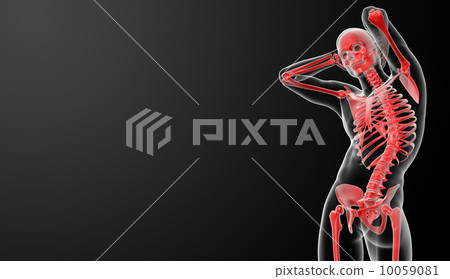 3d rendered red skeleton - bottom view - Stock Illustration [10059081 ...