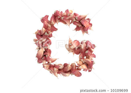 Garlic letter G on white background - Stock Illustration [10109699] - PIXTA